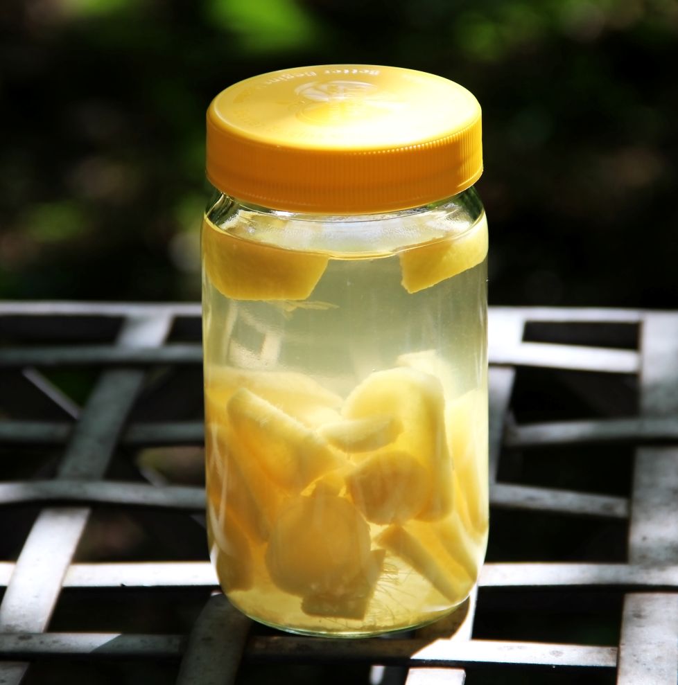 Ginger-Infused Vodka - Keet's Cocktails